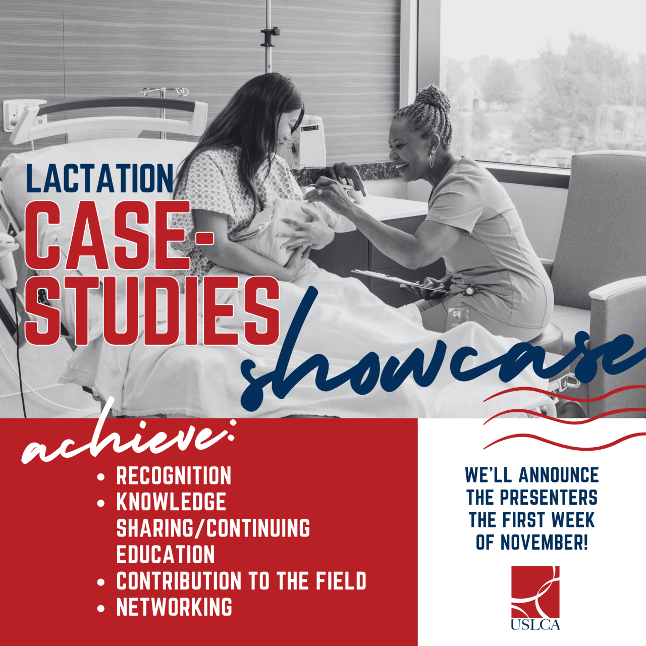 Virtual | New Horizons in Clinical Lactation